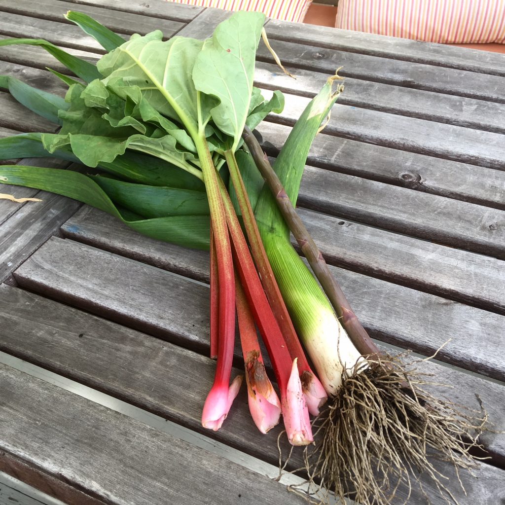 Mid-May Harvest – Nine by Eighteen