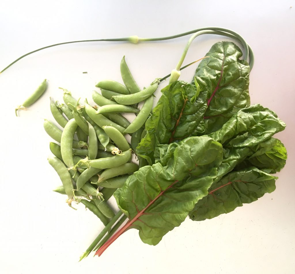 Today’s Harvest – Nine by Eighteen