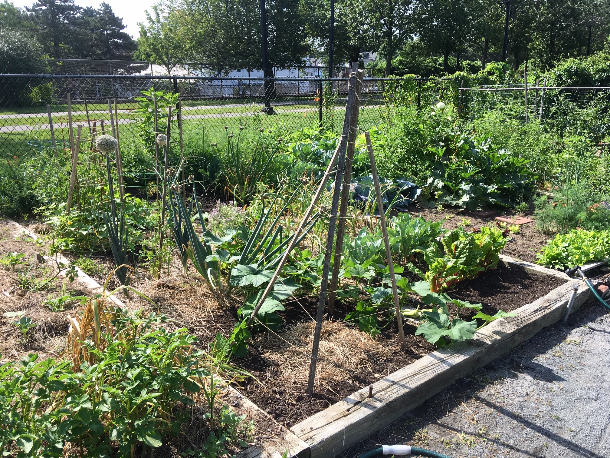 Mid-July – Nine by Eighteen