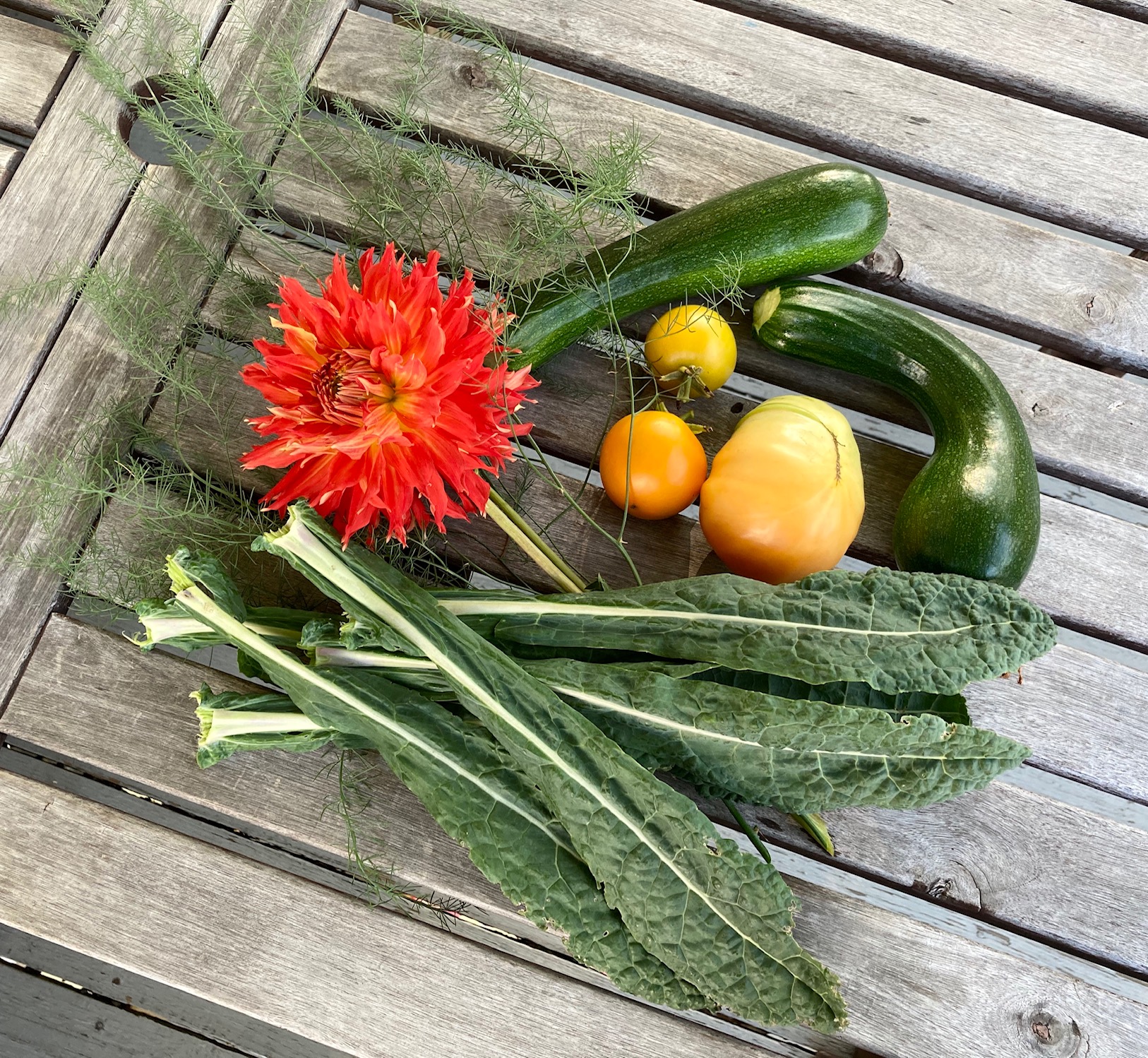 First Fall Harvests – Nine by Eighteen