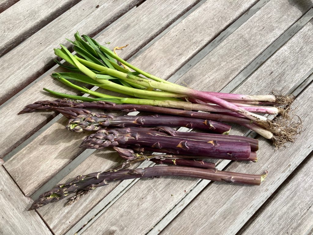 Early May Harvest – Nine by Eighteen