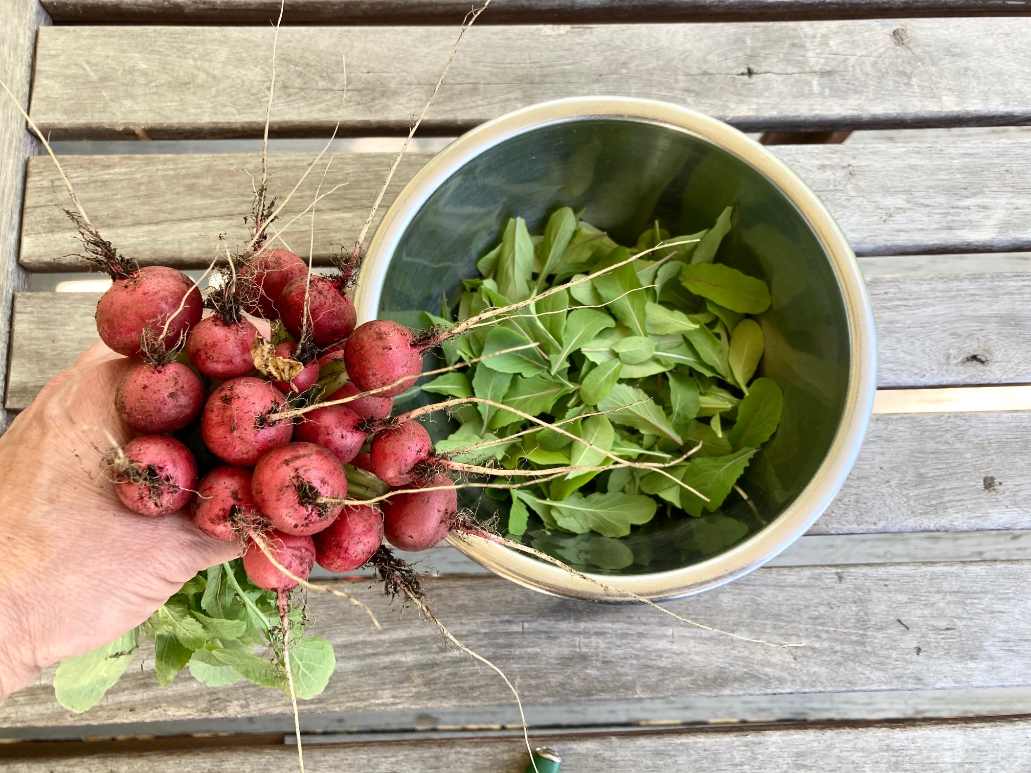 Porch Harvest – Nine by Eighteen