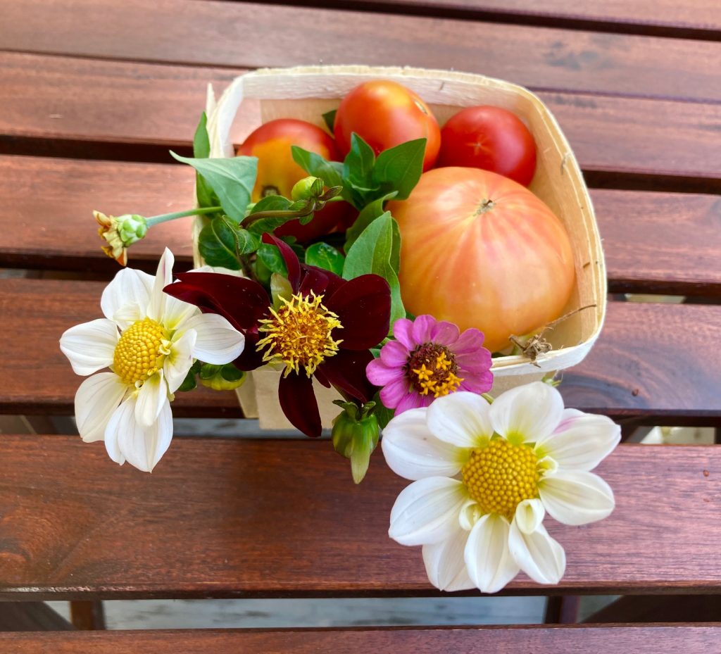 Today’s Harvest – Nine by Eighteen